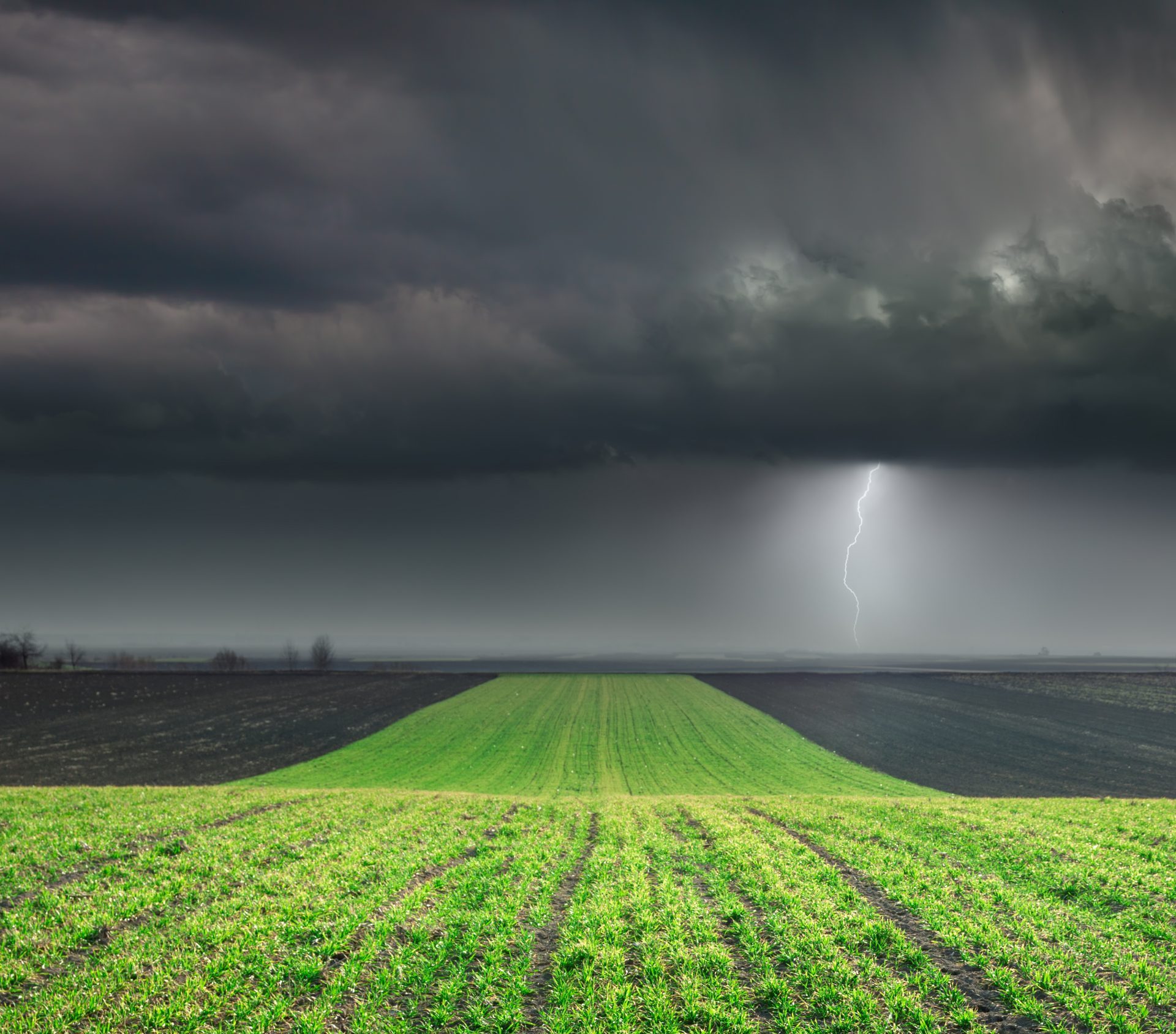 Enhanced subsidies on crop insurance could reshape the future of French ...